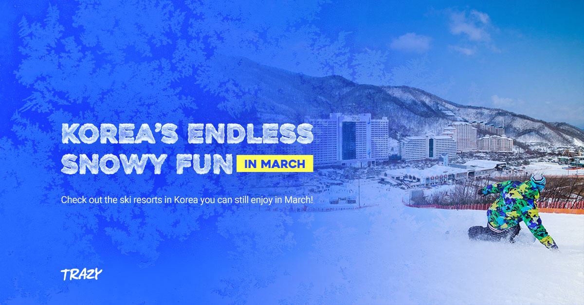 Korea's Endless Snowy Fun in March 2023