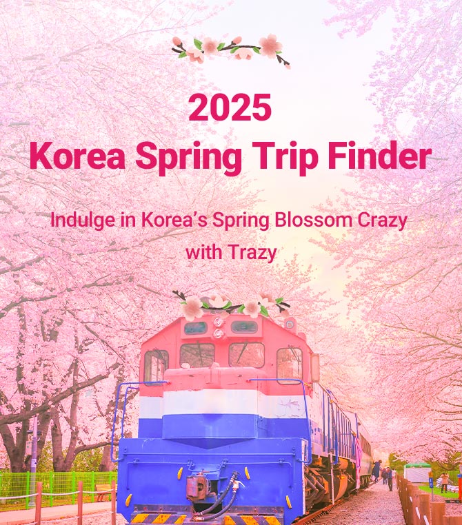 Top Fun Things to Do in Korea: Tours, Activities & Tickets - Trazy ...
