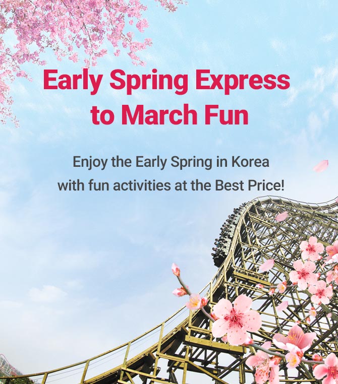 Book Best Things to Do in Korea - Korea's #1 Travel Shop