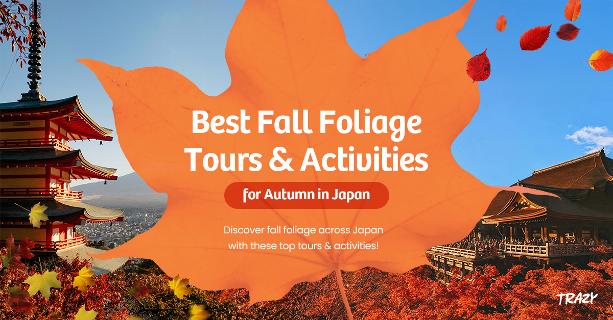 Best Fall Foliage Tours & Activities for Autumn in Japan
