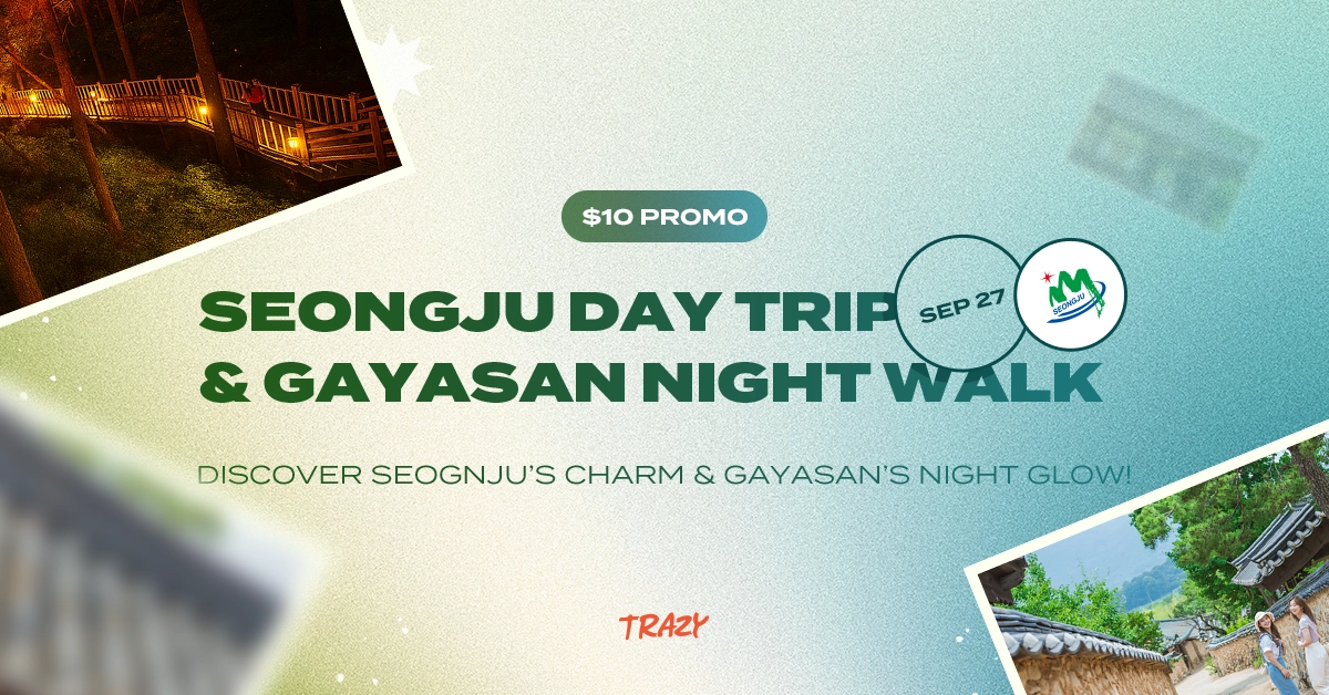 2025 Seongju Day & Night Tour from Busan/Daegu - Trazy, Korea's #1 Travel Shop